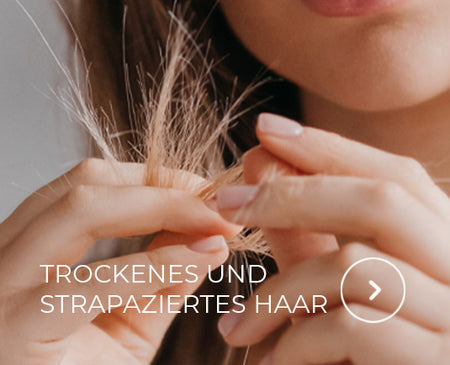 SHAZAY – SHAZAY – diamond filtered